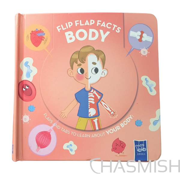 Flip flap facts: Body – New Interactive Book – Chasmish
